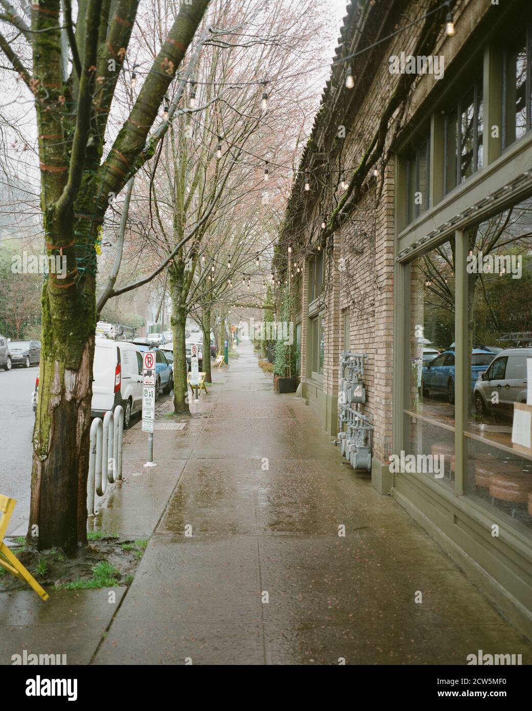 East Portland, Oregon rainy neighborhood sidewalk in springtime bloom ...