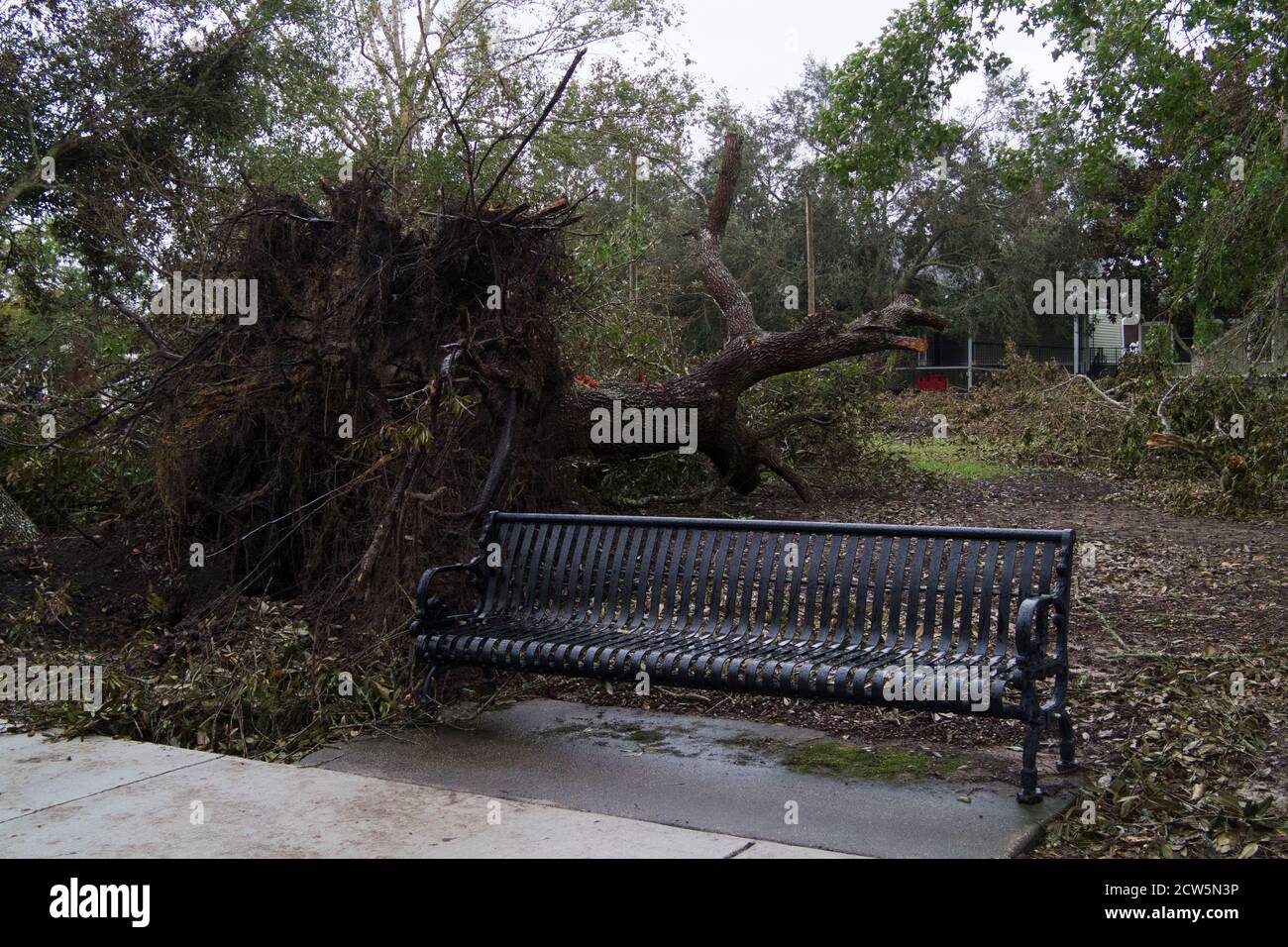 Hurricane Sally damage at Centennial Park in downtown Foley, Alabama ...