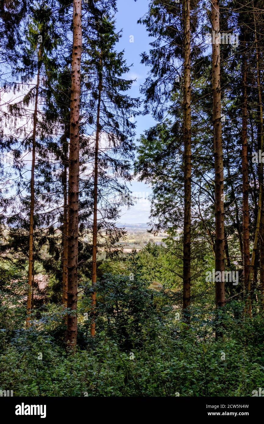 A mere glimpse of some scenic countryside view glimpsed through the ...