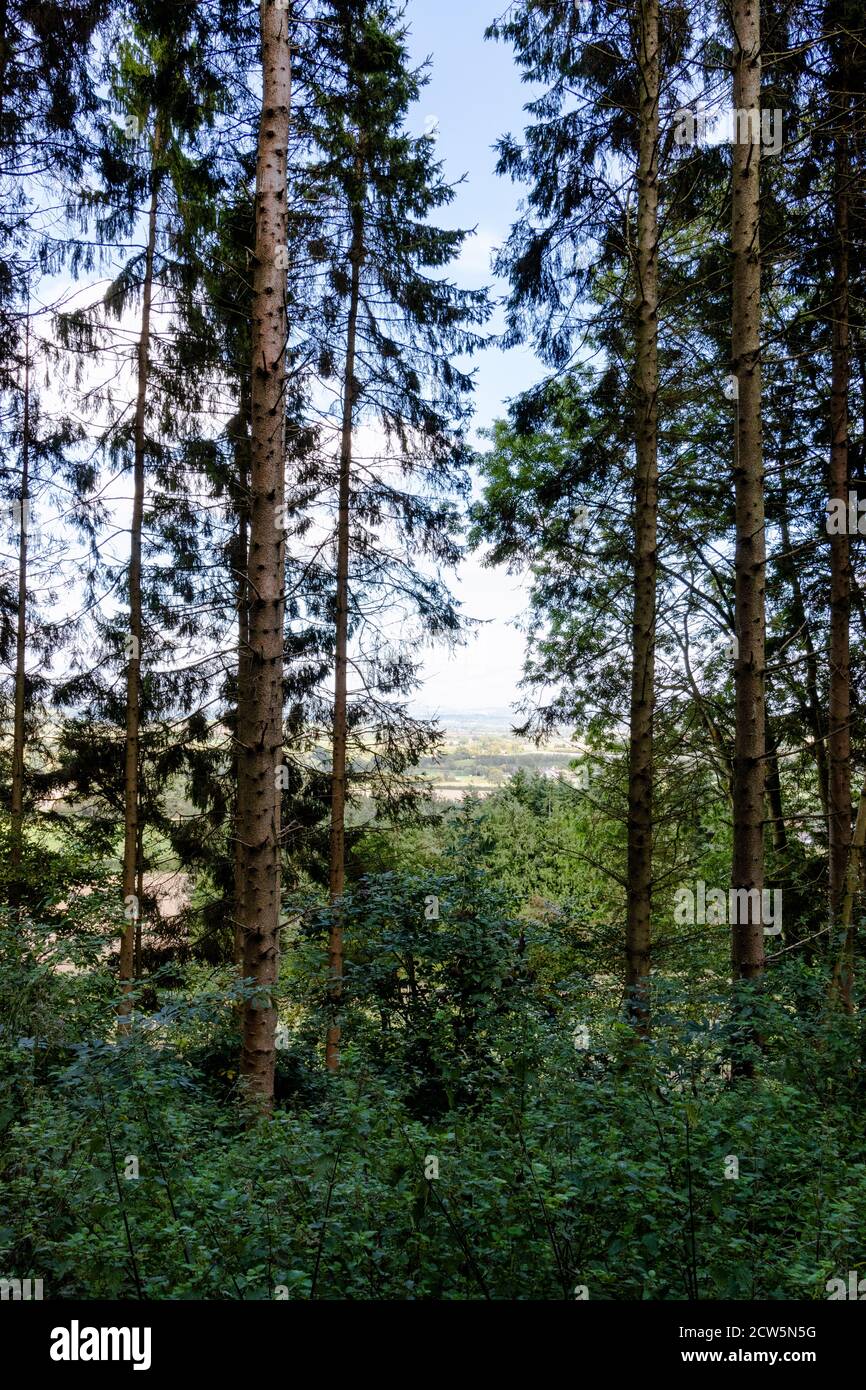 A mere glimpse of some scenic countryside view glimpsed through the ...