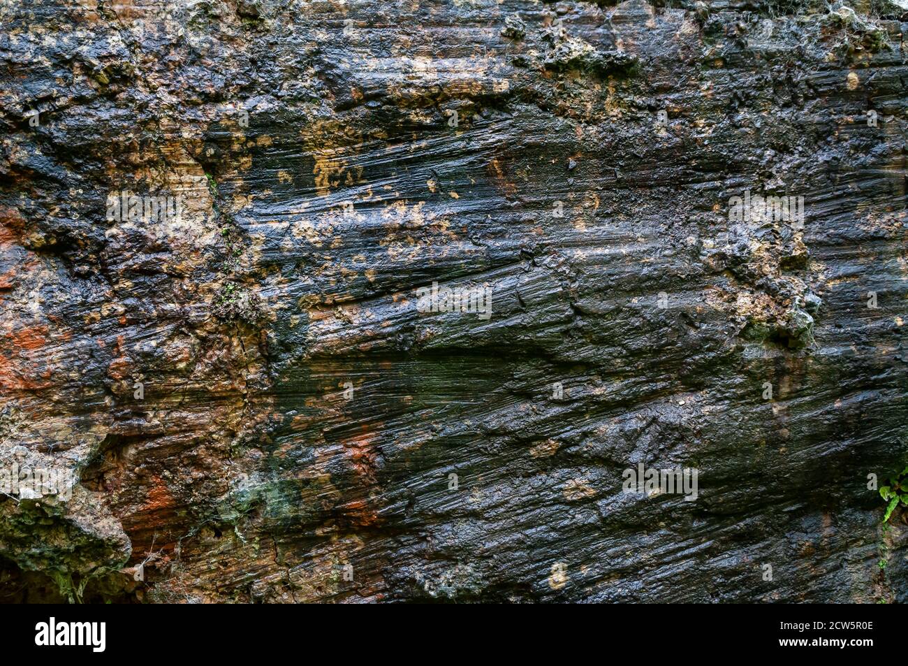 Slickensides formed by lateral movement of rock along a fault at a ...