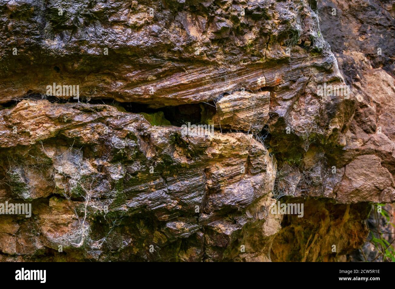 Slickensides formed by lateral movement of rock along a fault at a ...