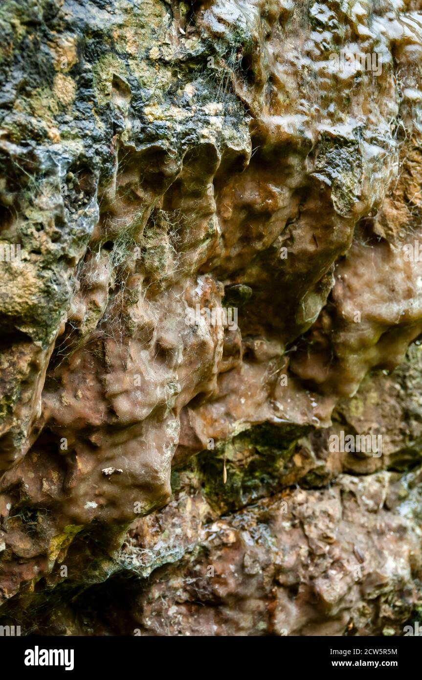 Flowstone formed on a face at a disused and overgrown Magnesian ...