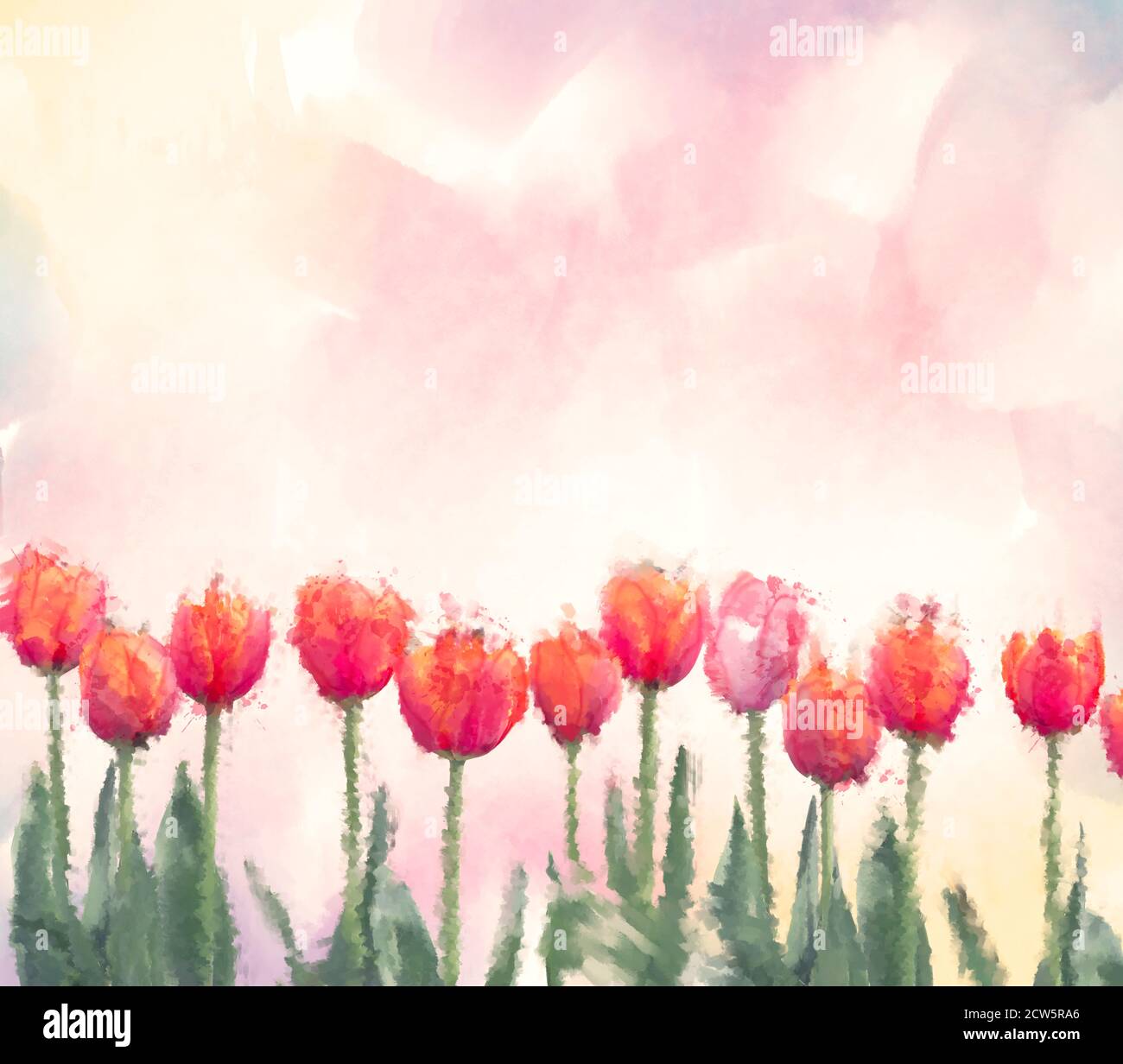 Watercolor digital painting of tulip flowers. Digital illustration ...