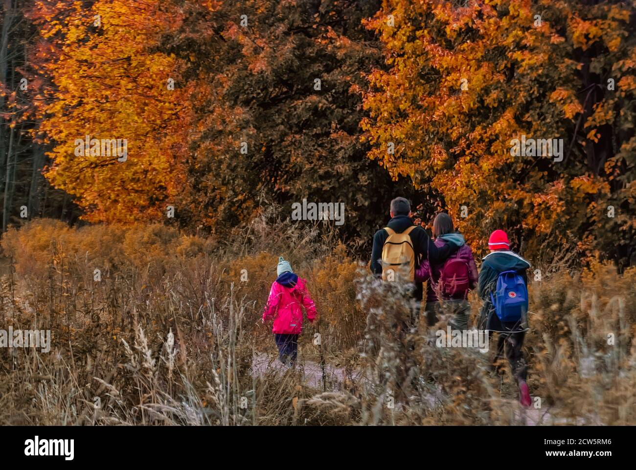 Family with two children walking in autumn forest Stock Photo - Alamy