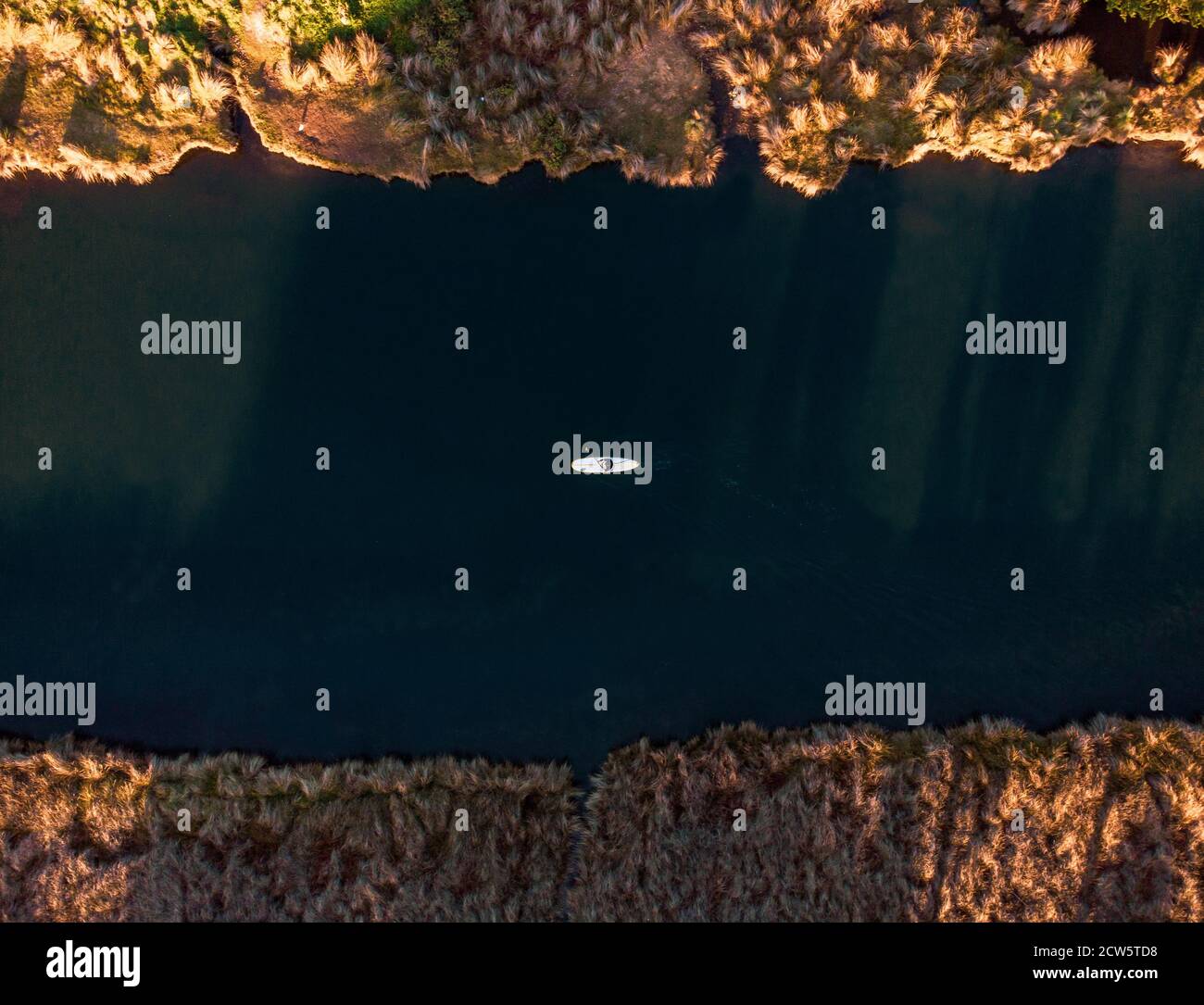 Golden boarder hi-res stock photography and images - Alamy