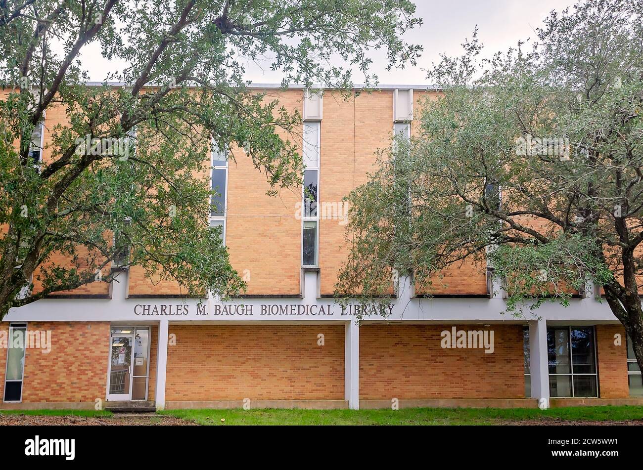 Biomedical s hi-res stock photography and images - Alamy