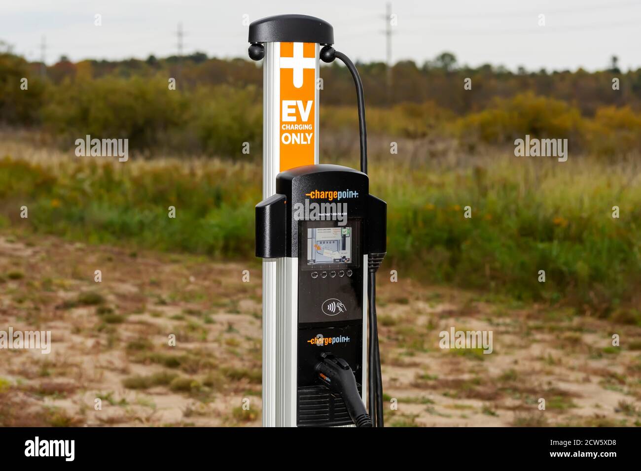 Charge Point CT4021 EV Charge Station – Dual Port Bollard Mount in ...