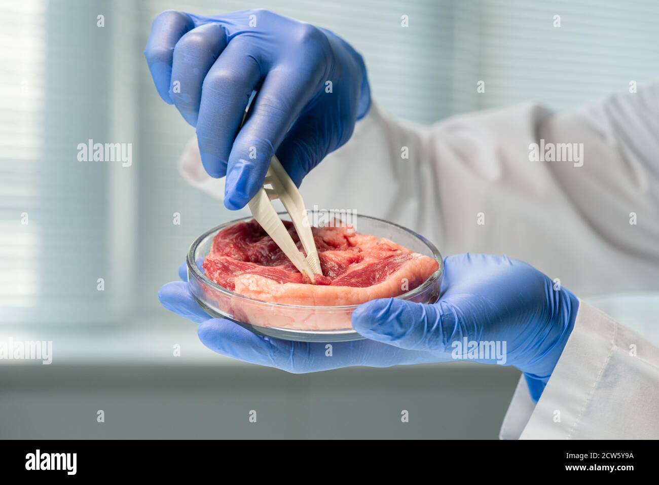 Gloved hands of contemporary scientific researcher taking sample of raw ...