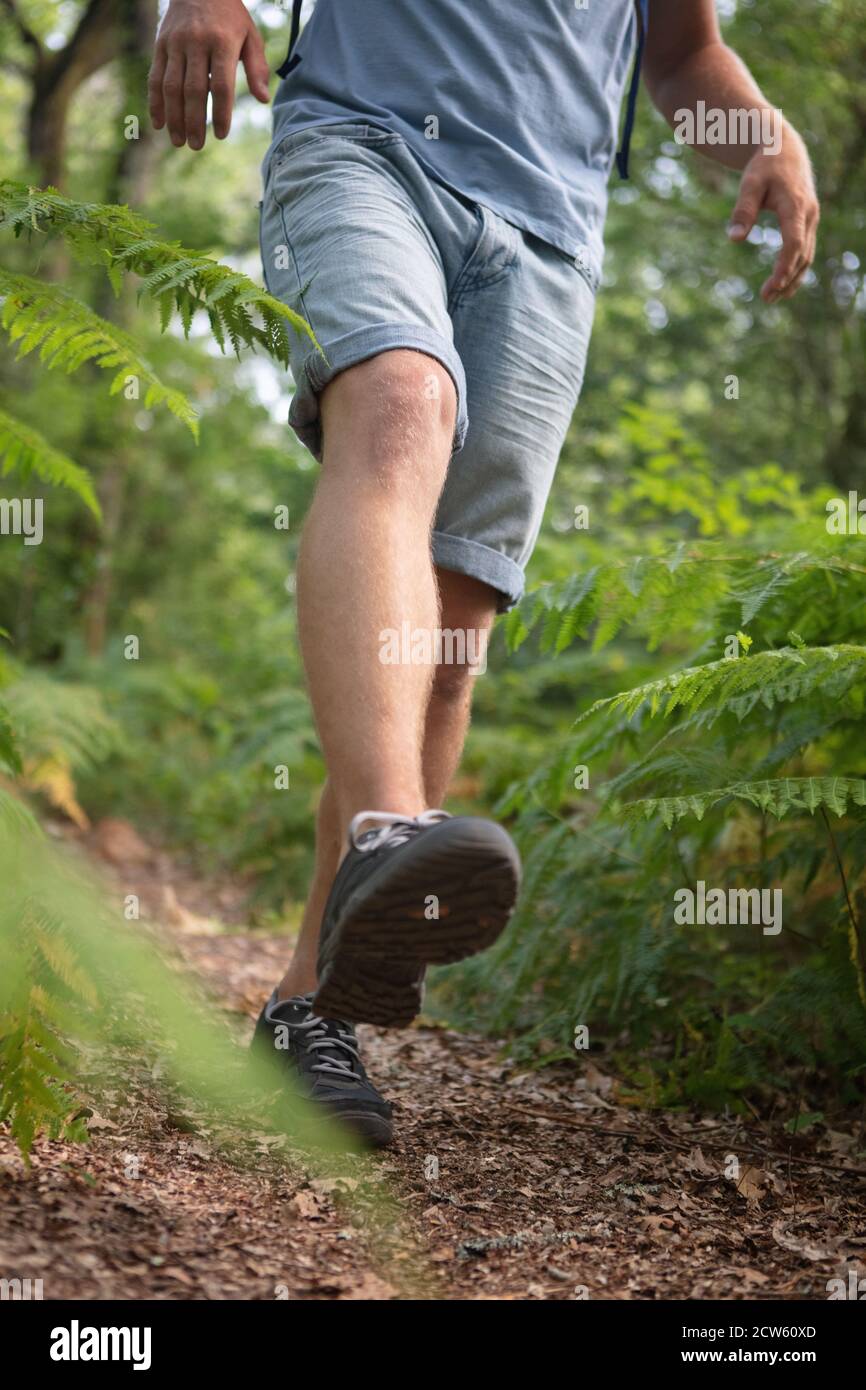 feet hiking excursion in the woods Stock Photo - Alamy