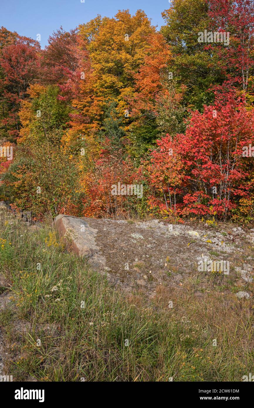 Colourful autumn foliage on trees above rock Stock Photo - Alamy