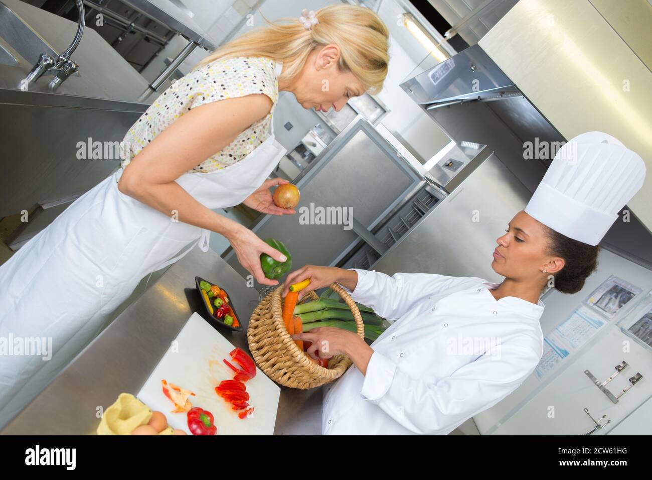 Classification classifications hi-res stock photography and images - Alamy