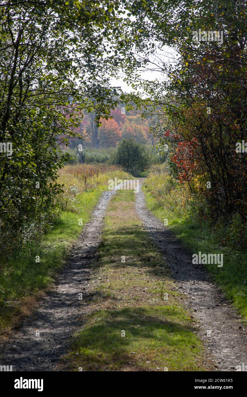 Passageway with green vegetation hi-res stock photography and images ...
