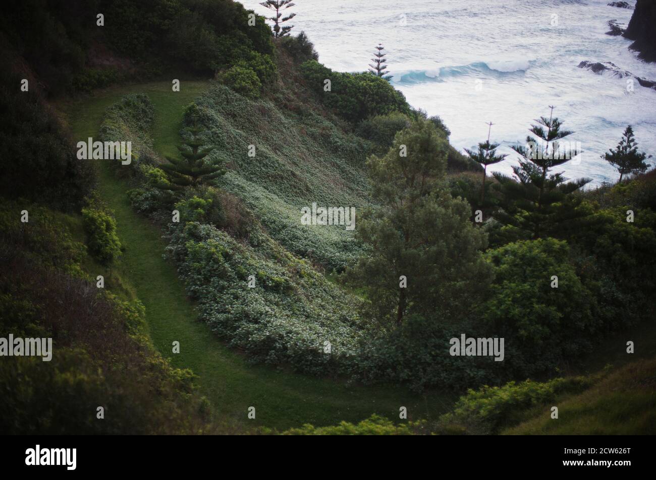 Norfolk Island landscape Stock Photo - Alamy