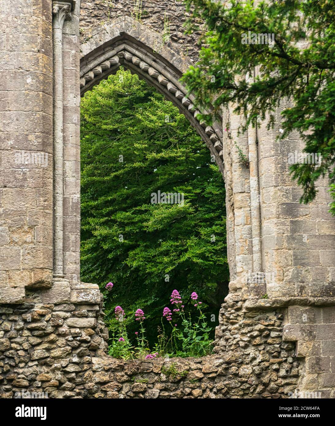 Crocket capital hi-res stock photography and images - Alamy