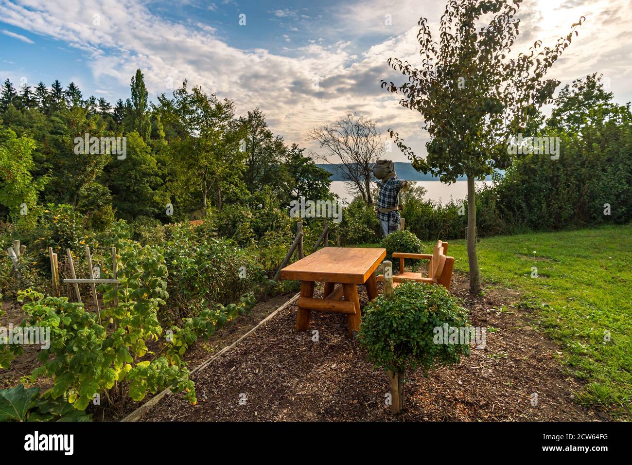 Fantastic hike through the beautiful vineyards on Lake Constance near ...