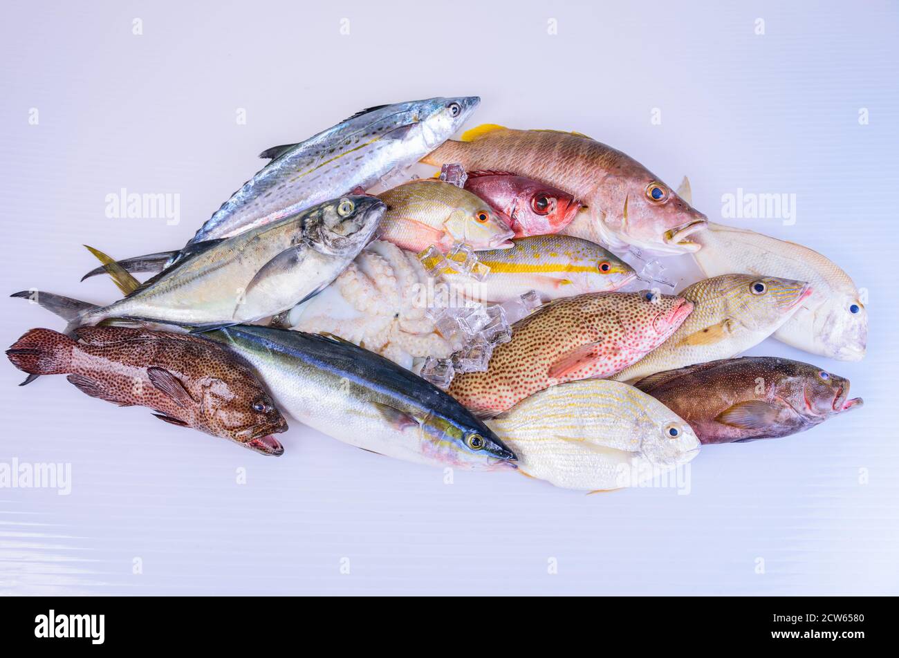 Fresh fish white hi-res stock photography and images - Alamy