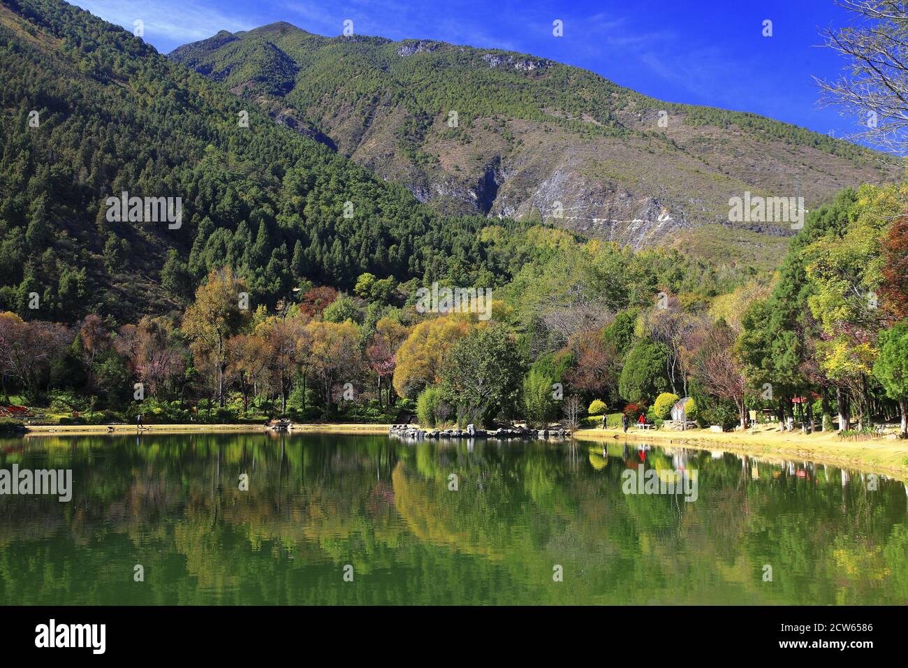 Yunnan Dali Zhoucheng Butterfly Spring Bihu Stock Photo - Alamy