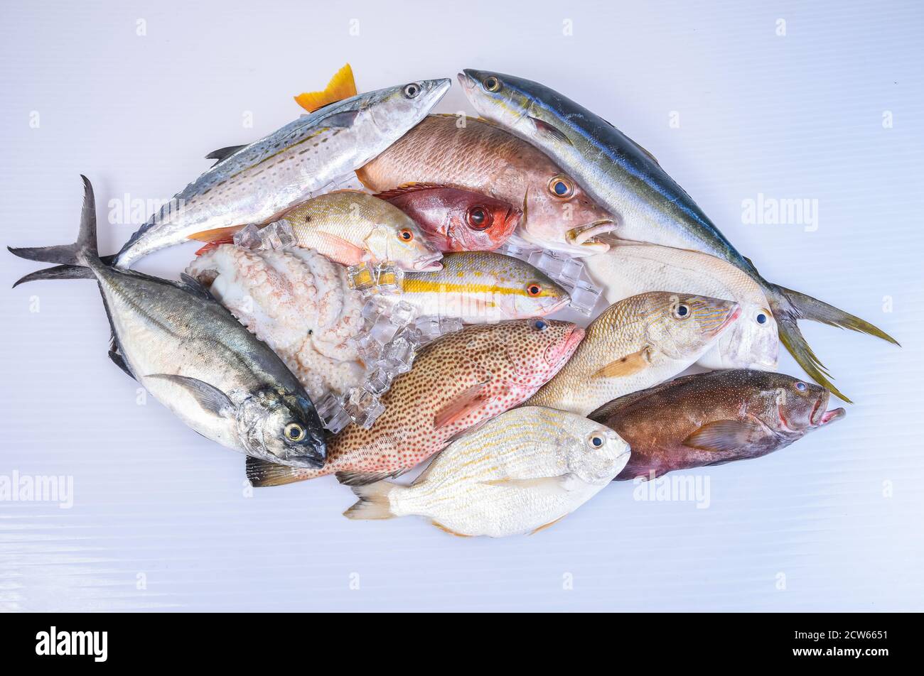 Caribbean Fish Market High Resolution Stock Photography and Images - Alamy