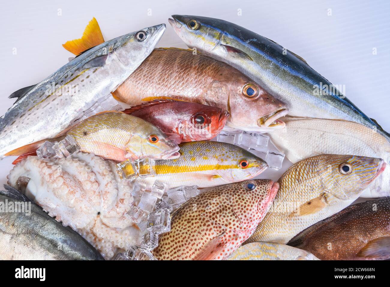 Caribbean fish market hi-res stock photography and images - Alamy