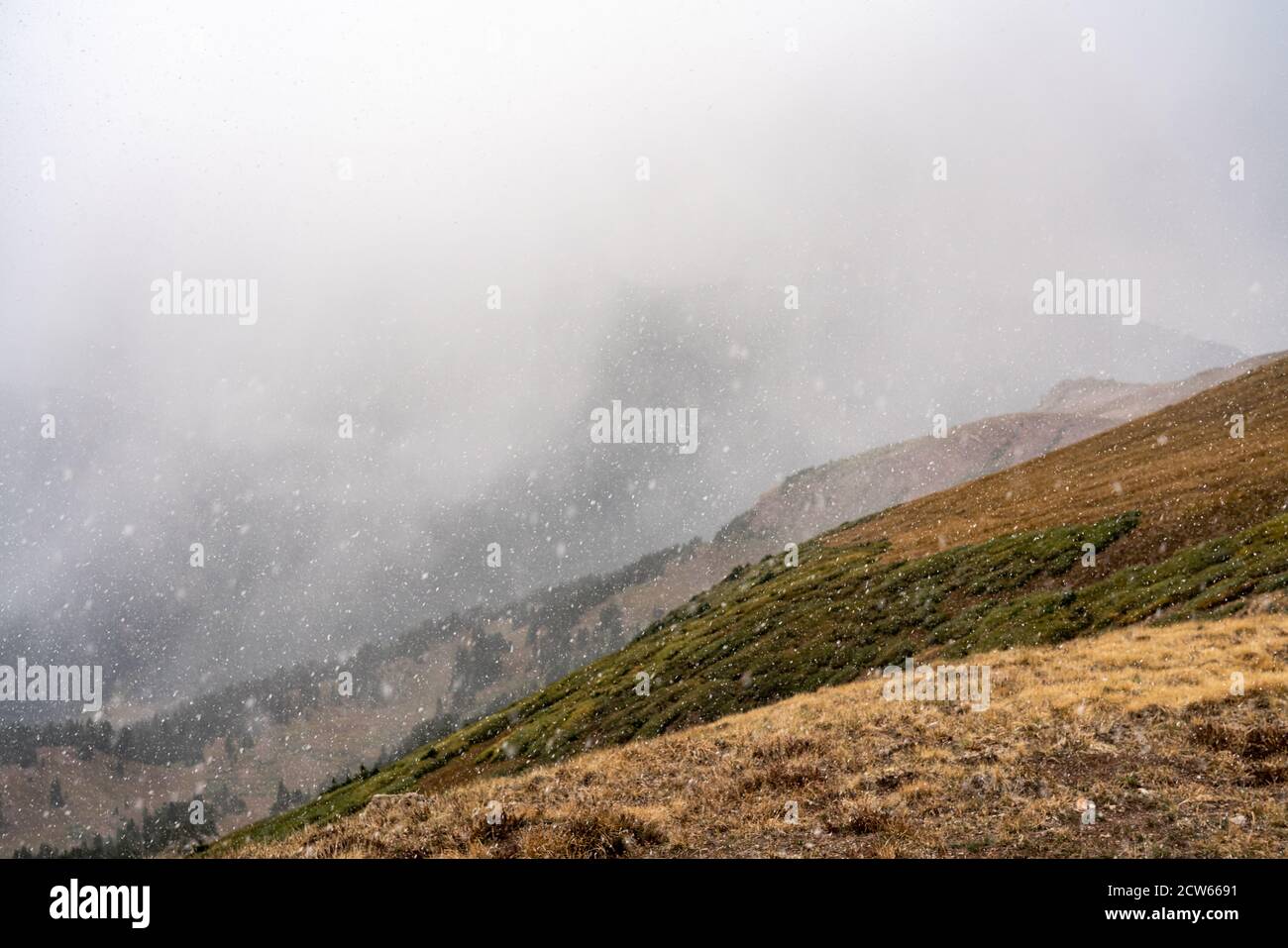 Snowfall during a summer snowstorm at Buckskin Pass while backpacking ...