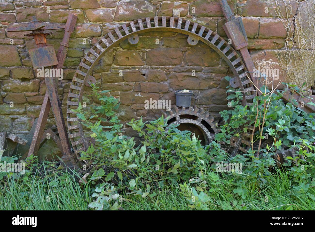 Large mill wheel cogs and gears rusting in undergrowth on a farm in ...