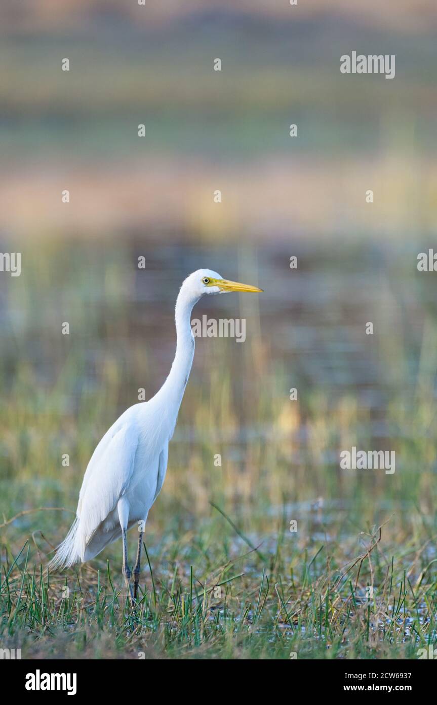 Gulf Country Queensland Australia