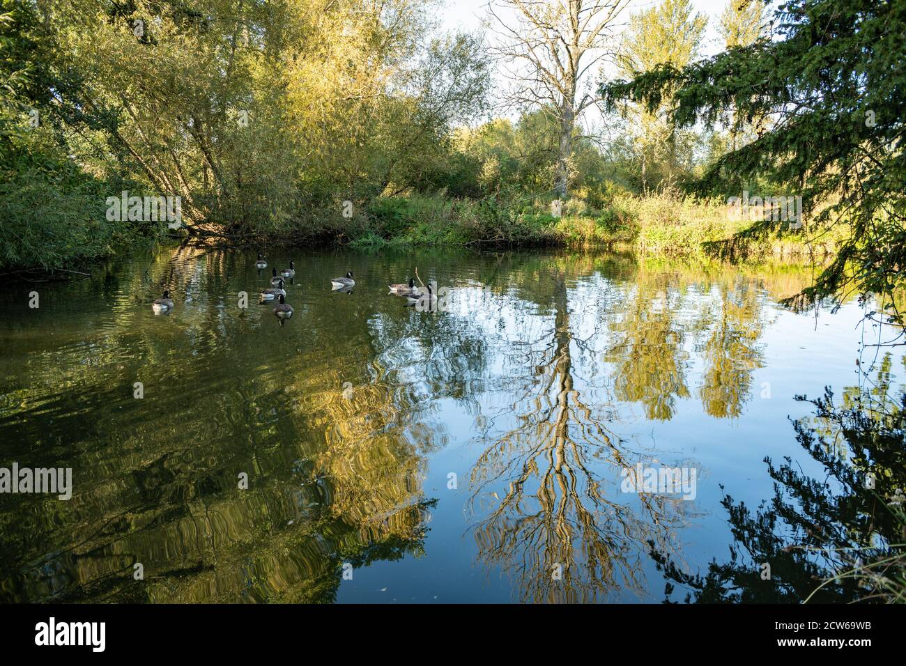 The oxford university parks hi-res stock photography and images - Alamy