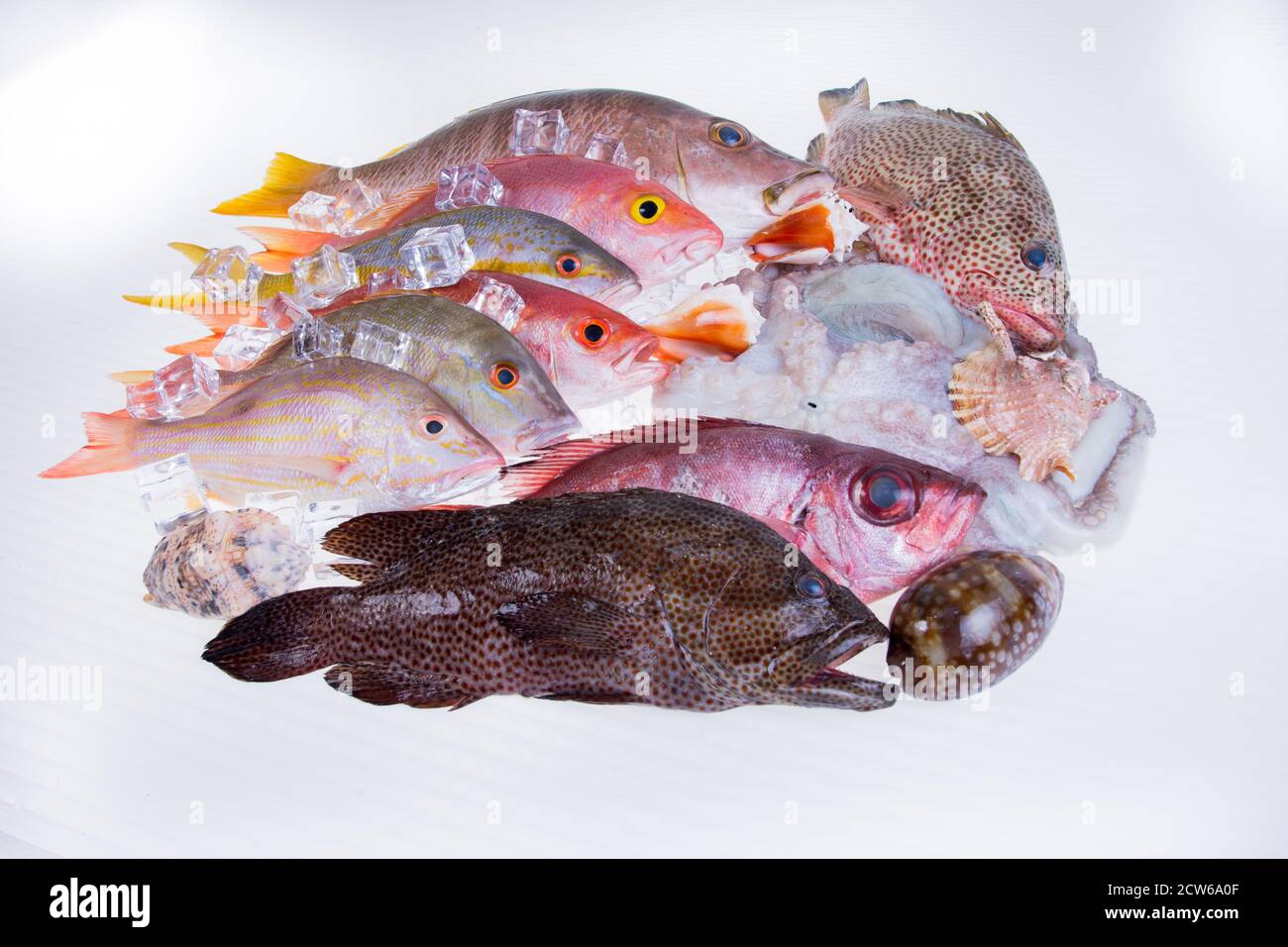 Raw fish image hi-res stock photography and images - Alamy