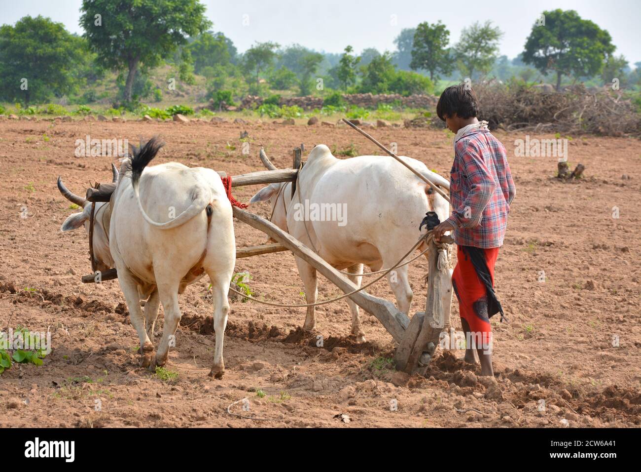 TIKAMGARH, MADHYA PRADESH, INDIA - SEPTEMBER 21, 2020: Unidentified ...