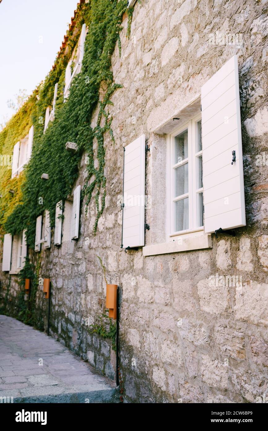 A stone house with white shuttered windows and greenery curling up the ...