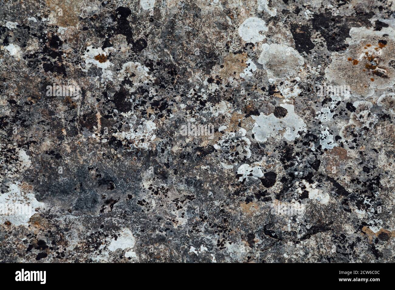 old grey vintage wall structure texture of stone as a background Stock ...
