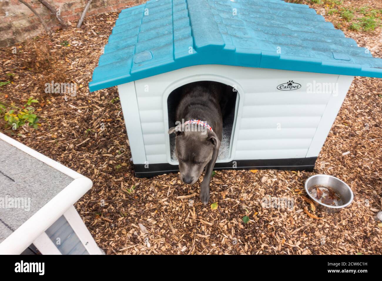 Plastic dog house hi-res stock photography and images - Alamy
