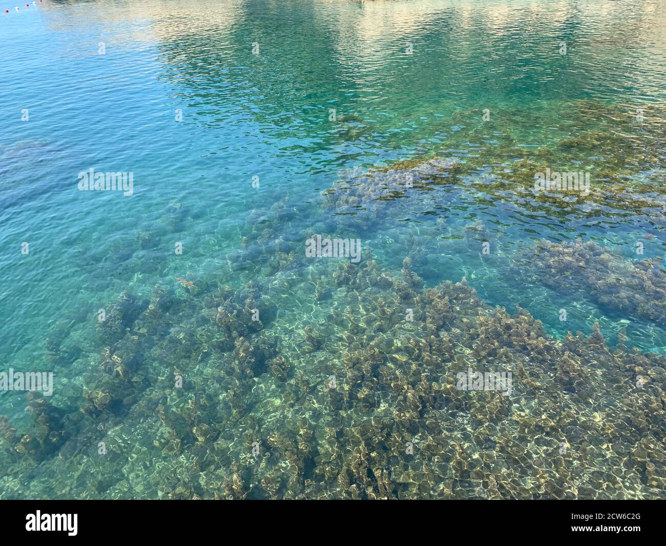 Crystal clear sea. Algae on the seabed. Calm turquoise water background ...