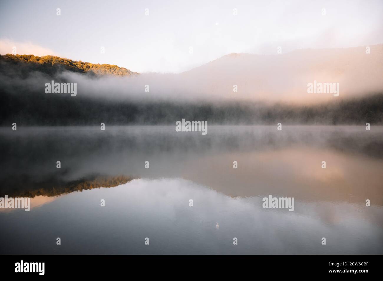 Foggy lake scape and vibrant autumn colors in trees at amazing misty ...
