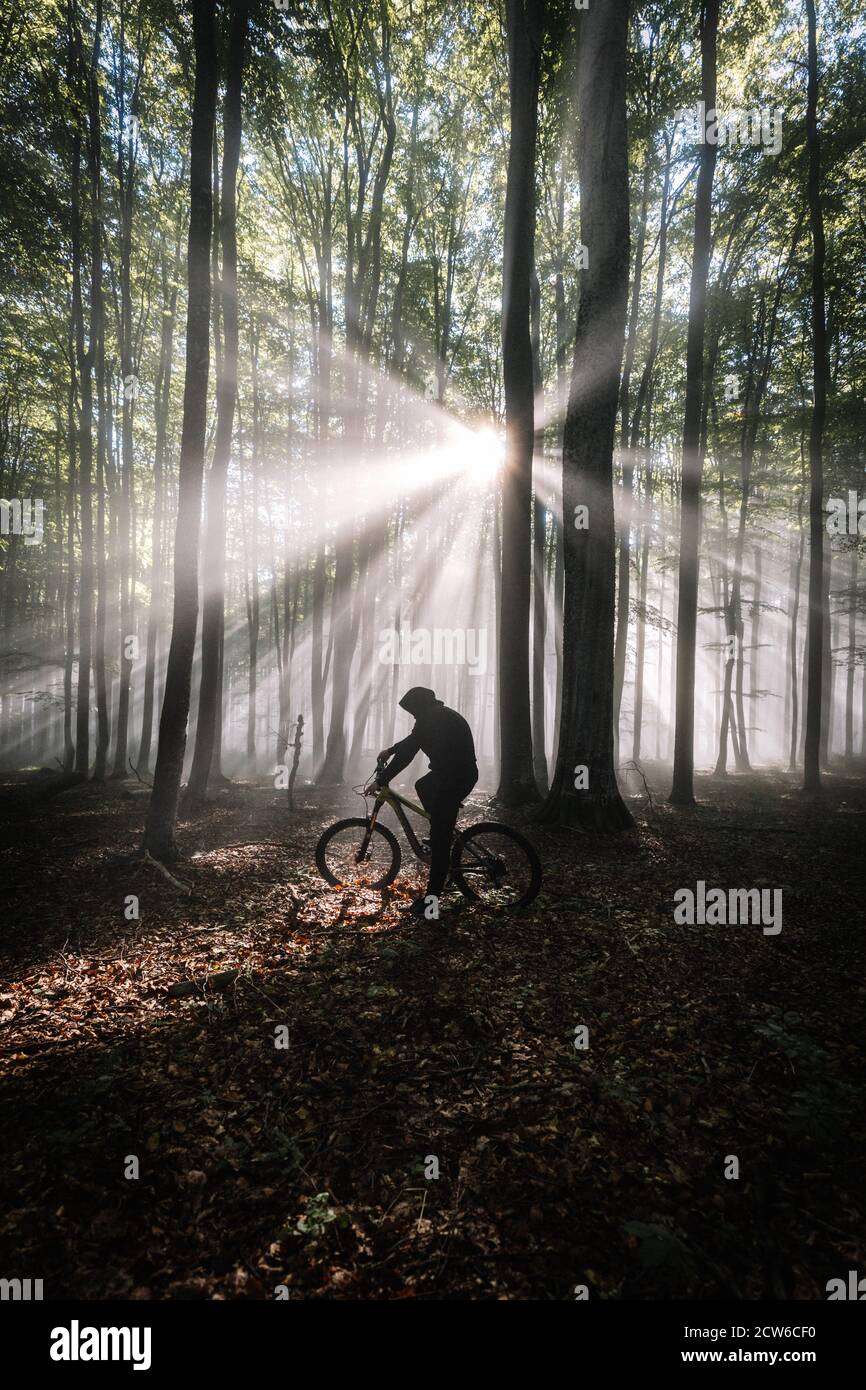 Green tree racer hi-res stock photography and images - Alamy