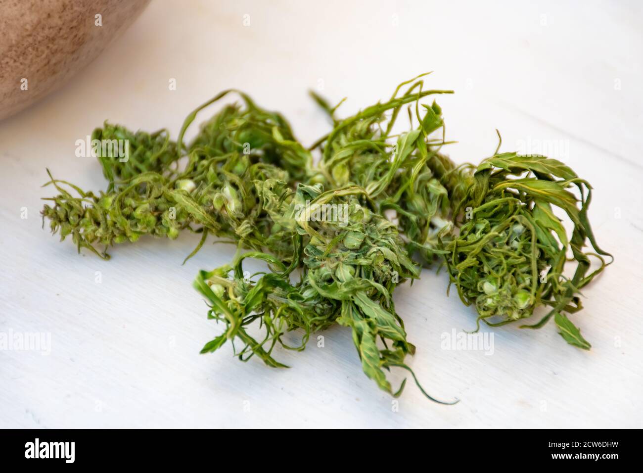 Marijuana or cannabis dry trimmed big bud with white background, for ...