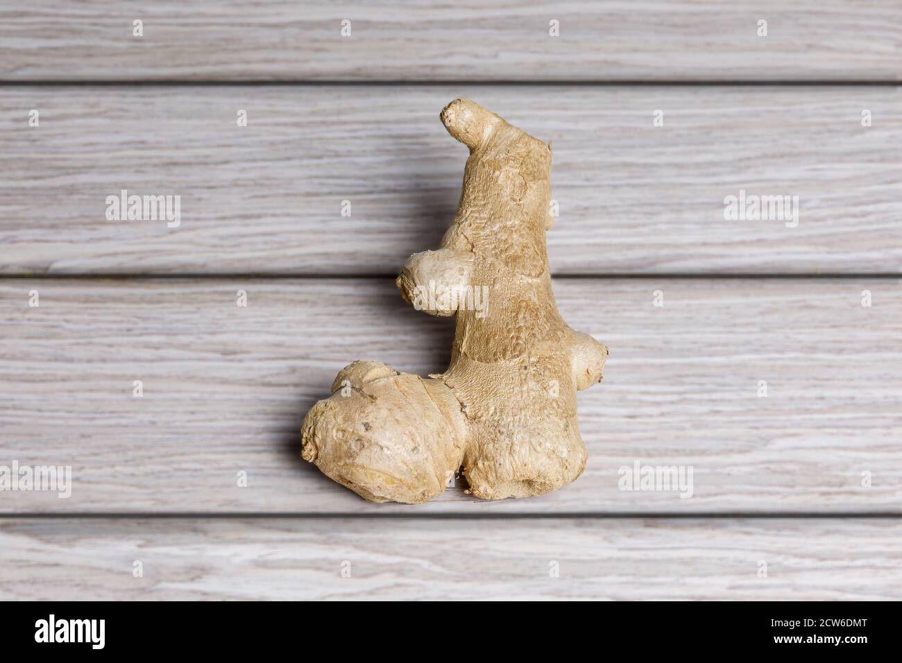 Rhizomatic root hi-res stock photography and images - Alamy