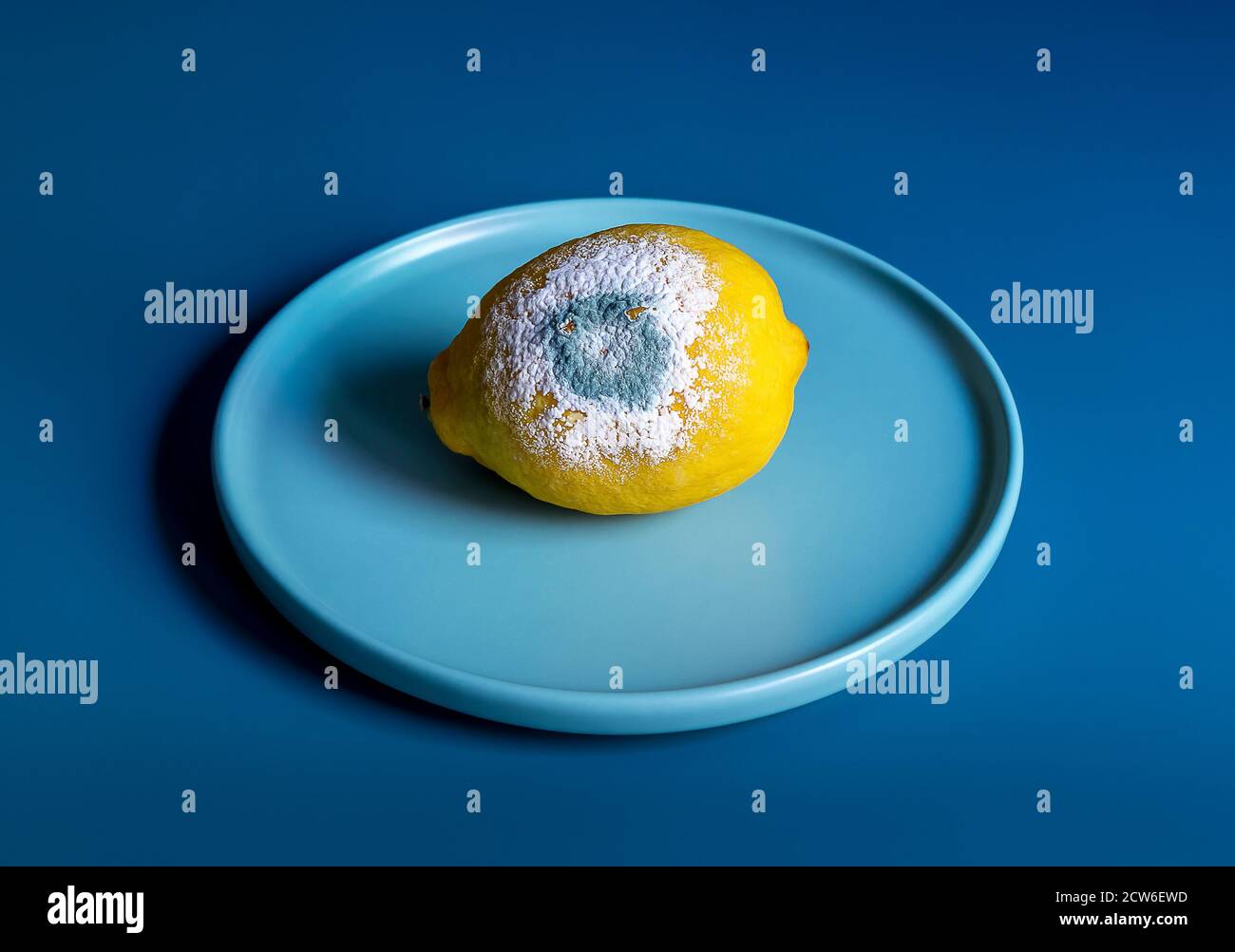 Yellow spoiled lemon with mold on a blue background Stock Photo - Alamy