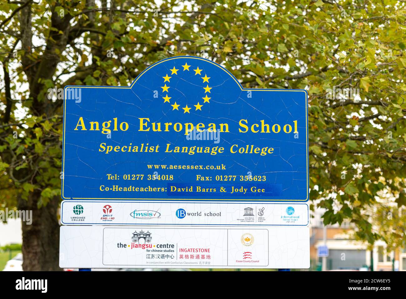 Anglo European School Logo Anglo European School SIPs Case Study | KTS