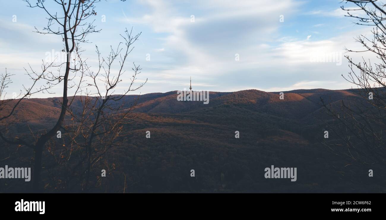 Dry field with bare trees Stock Photo - Alamy