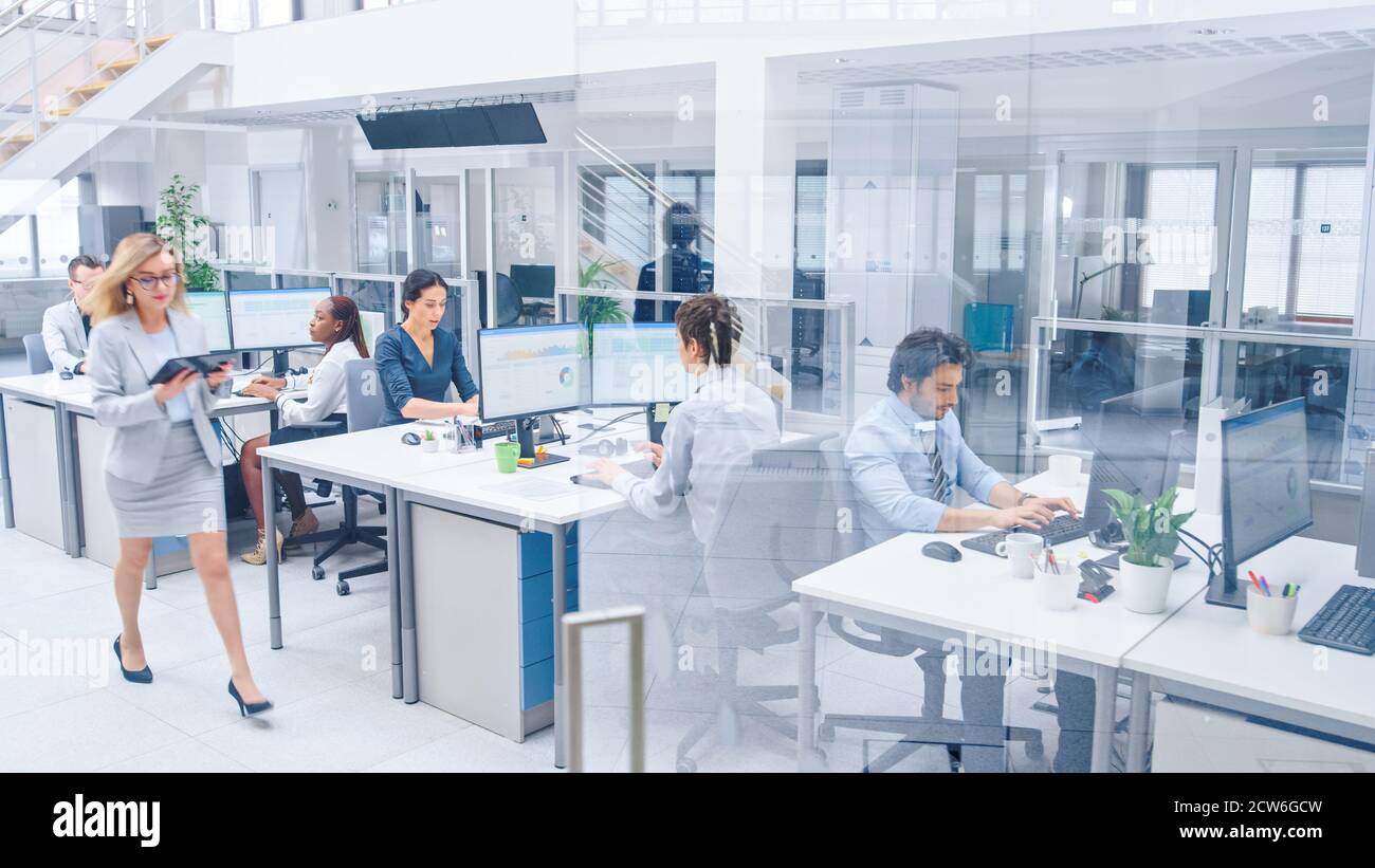 In the Bright Busy Office Rows of Young Professionals Working on ...