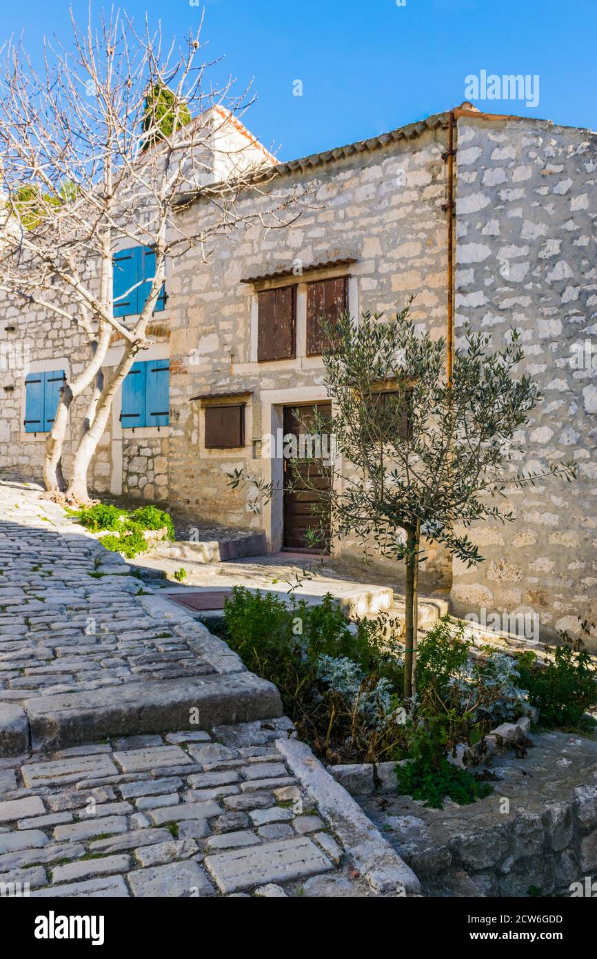 Old traditional stone houses with olive tree and shutters in Rovinj town, Croatia Stock Photo ...