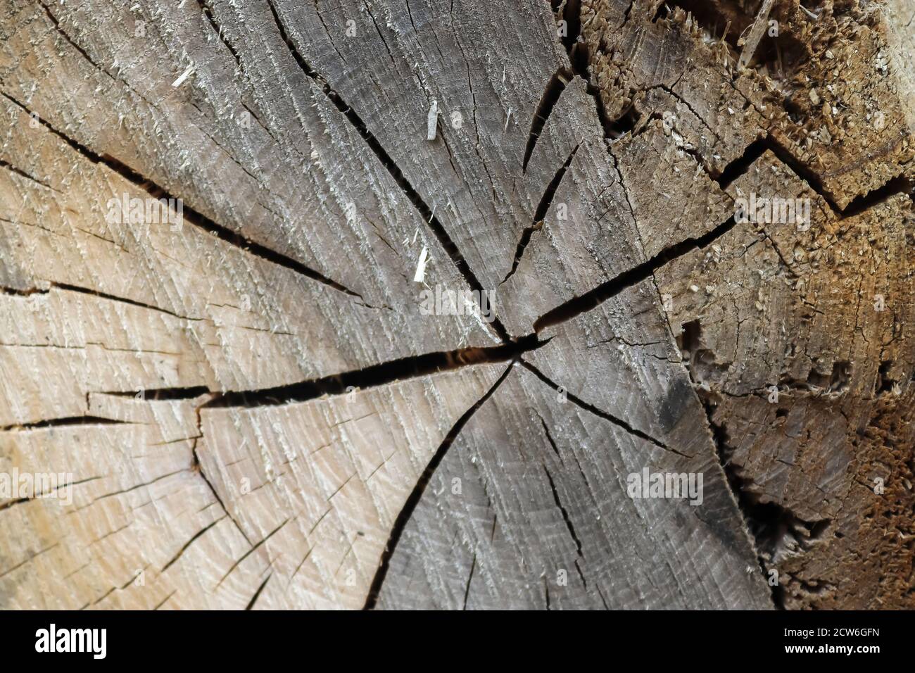 Wood defect hi-res stock photography and images - Alamy