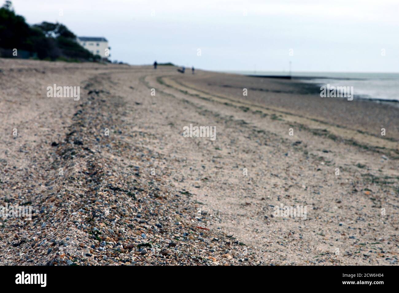 Monkey beach mersea hi-res stock photography and images - Alamy