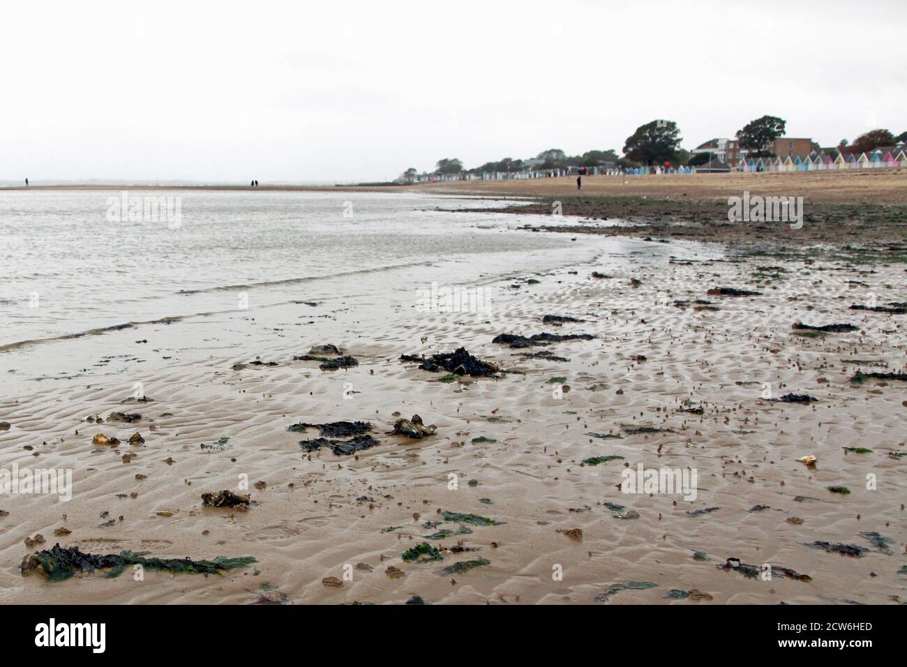 The strood mersea island hi-res stock photography and images - Alamy