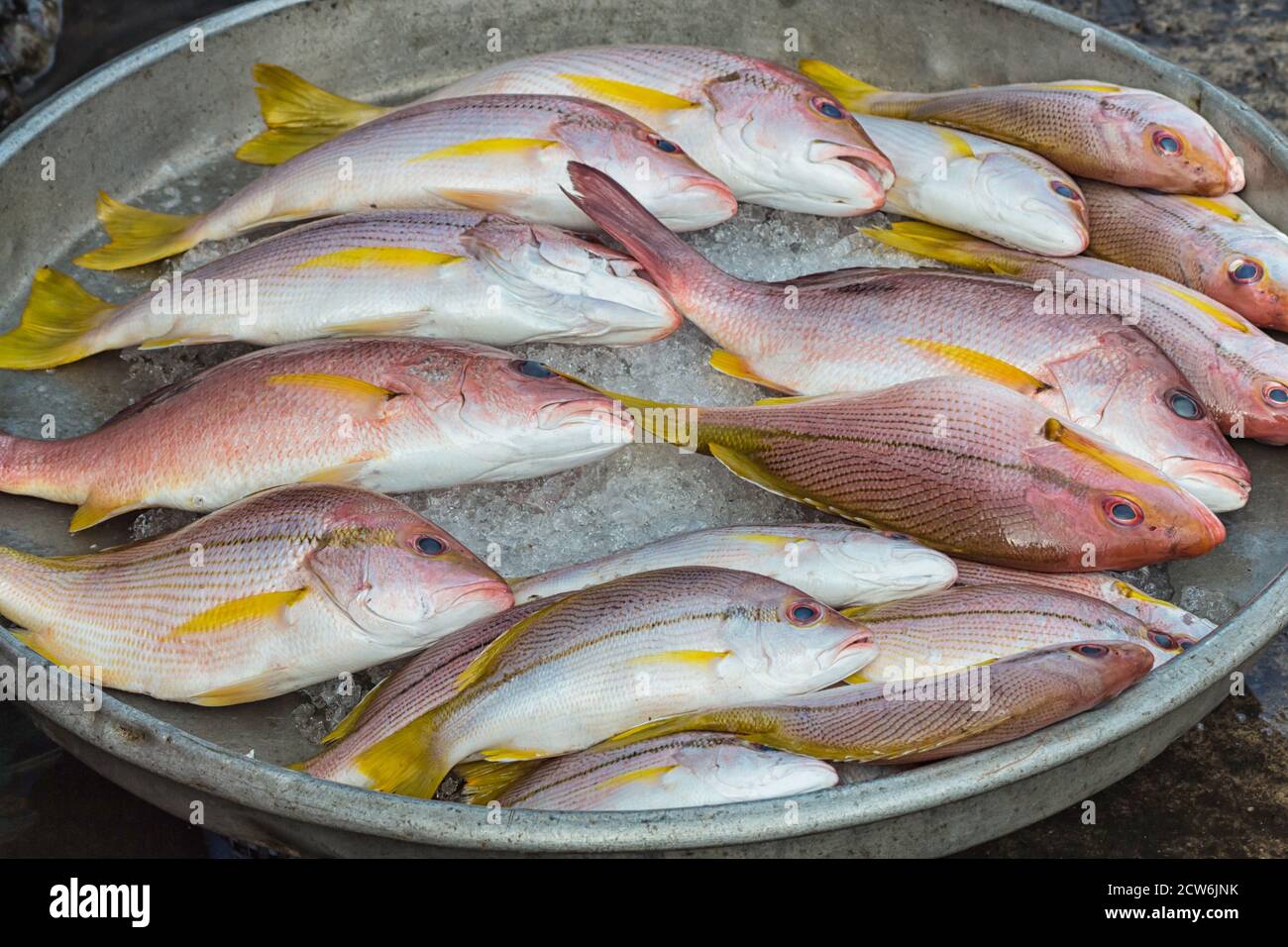 Red snappers market hi-res stock photography and images - Alamy