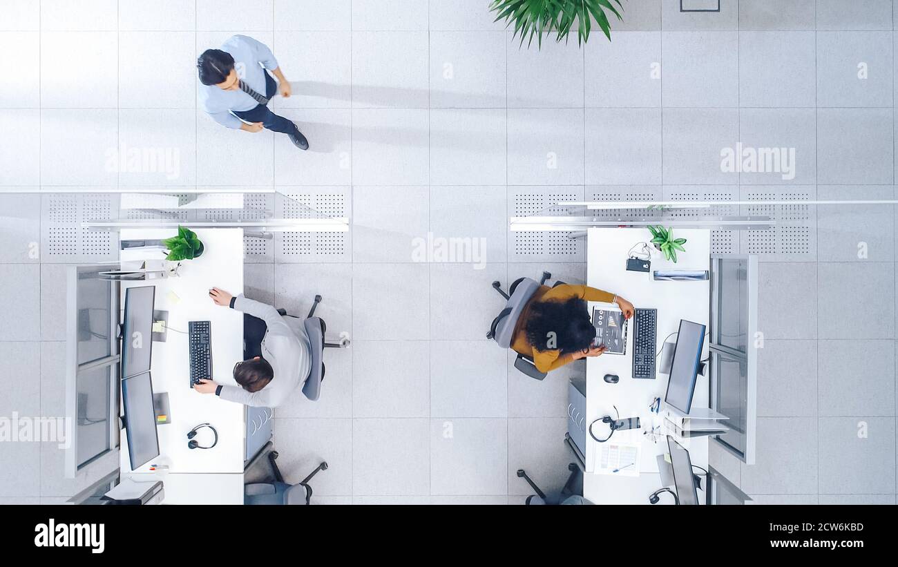 Top Down Shot of Big Busy Corporate Office with Two Rows off ...