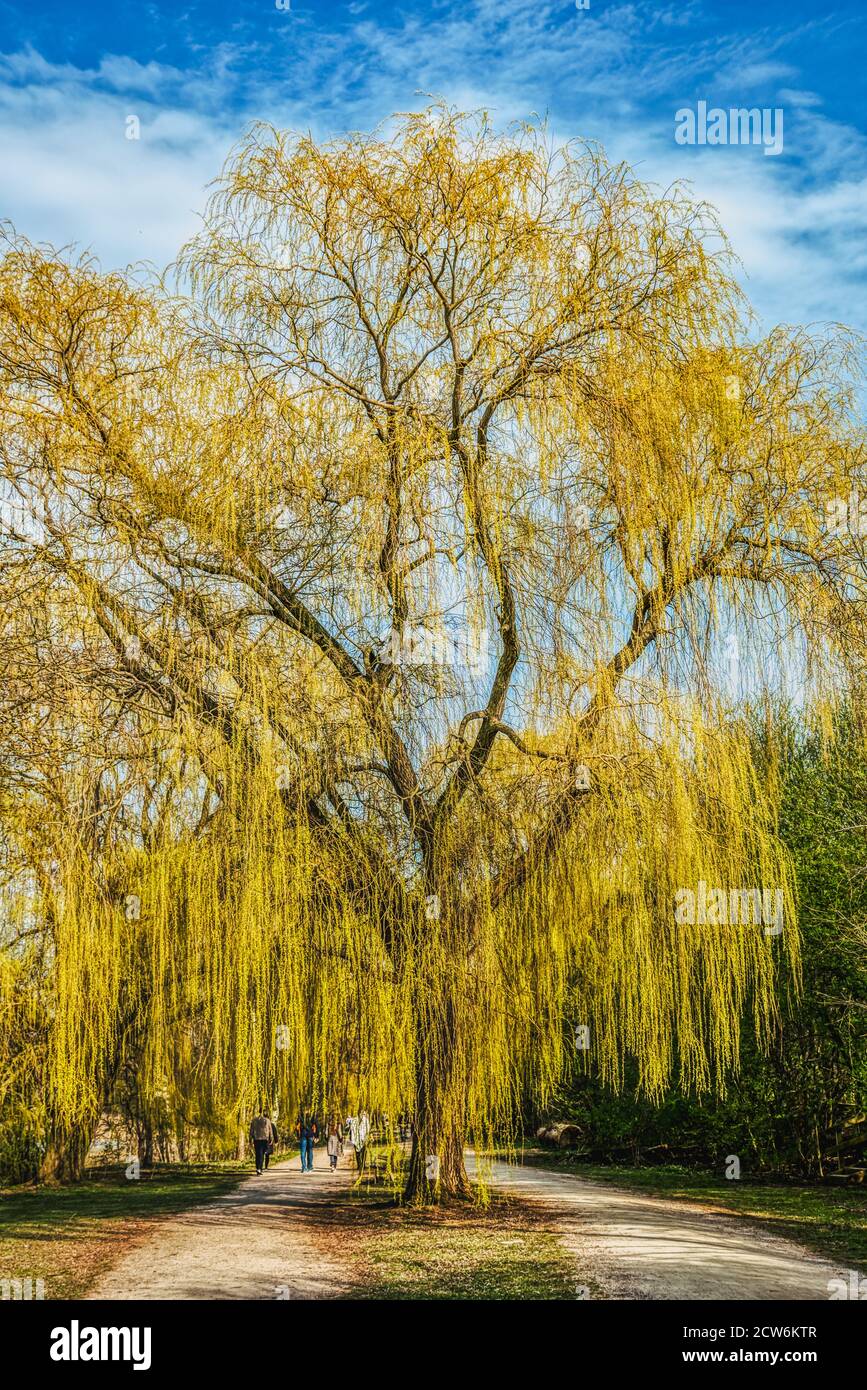 People enjoy a relaxing and tranquil walk in the countryside on a trail ...