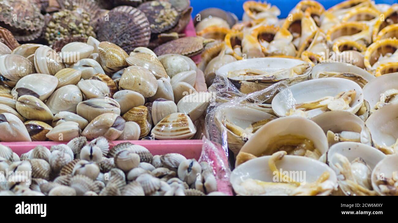 Types Of Shellfish High Resolution Stock Photography and Images - Alamy